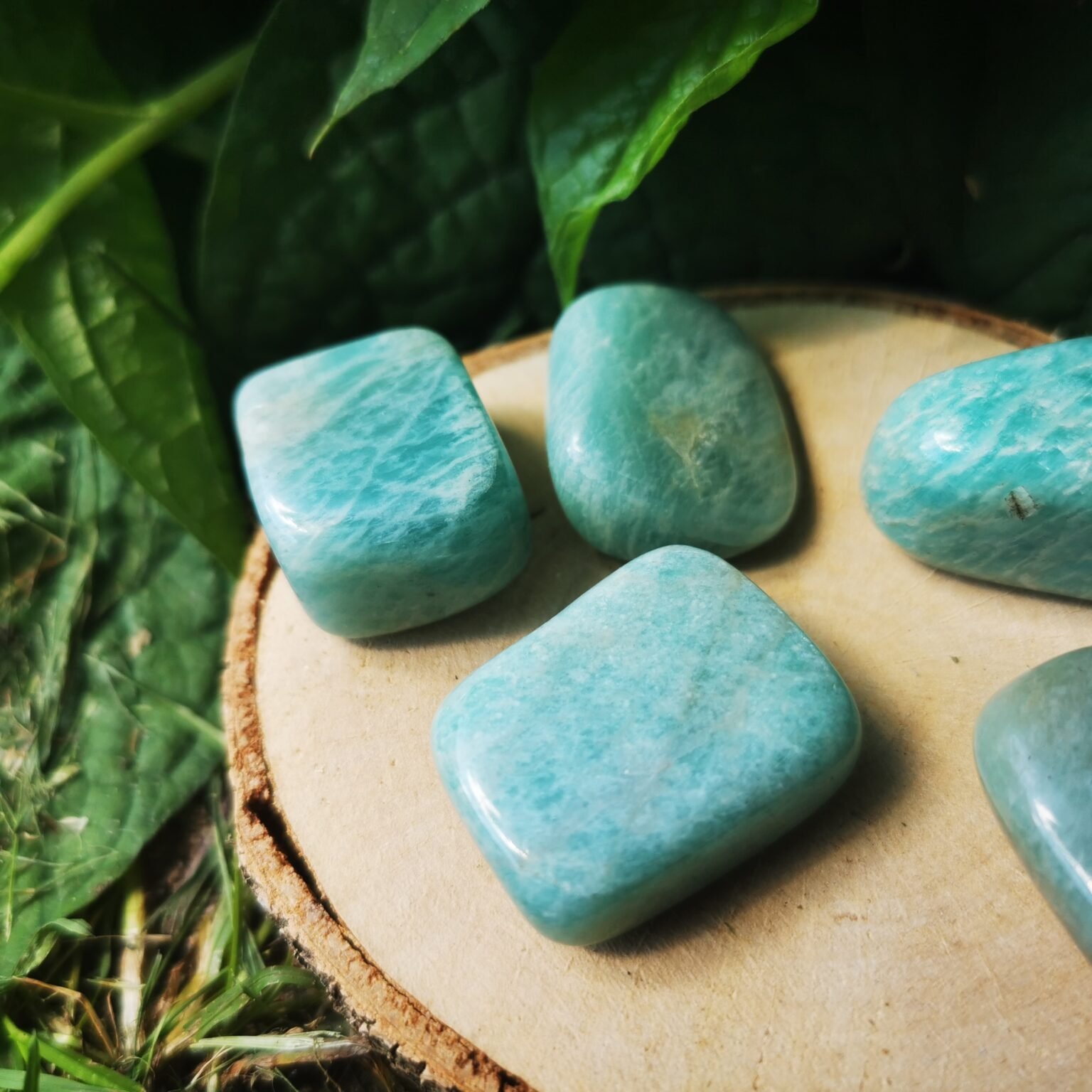 Amazonitas - malvinosnamai.lt